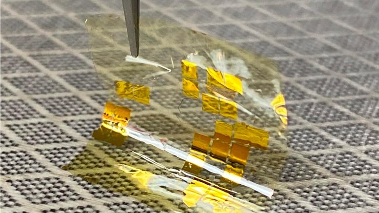 Anti-Solar Cells: Thermoradiative Photovoltaic Cells Work at Night