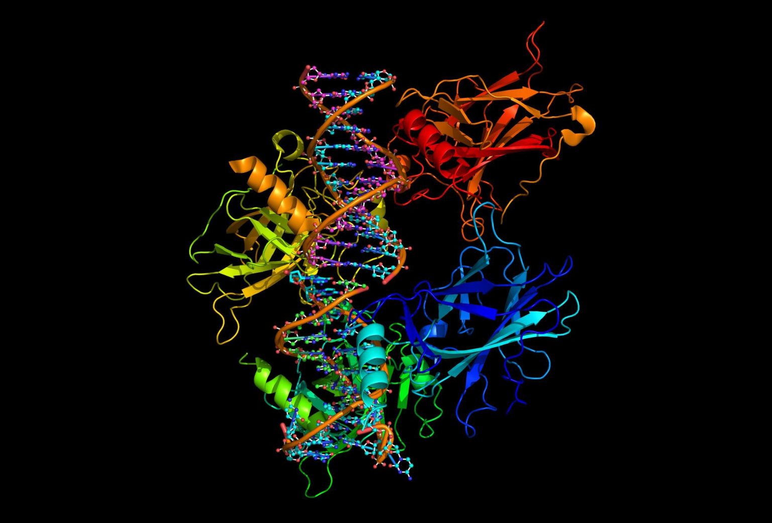 Evolution Helps Deduce the Shape of 18 Families of Transmembrane Proteins