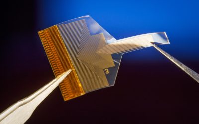 Revolutionary Transparent Implant Unveils Deep Brain Secrets From the ...