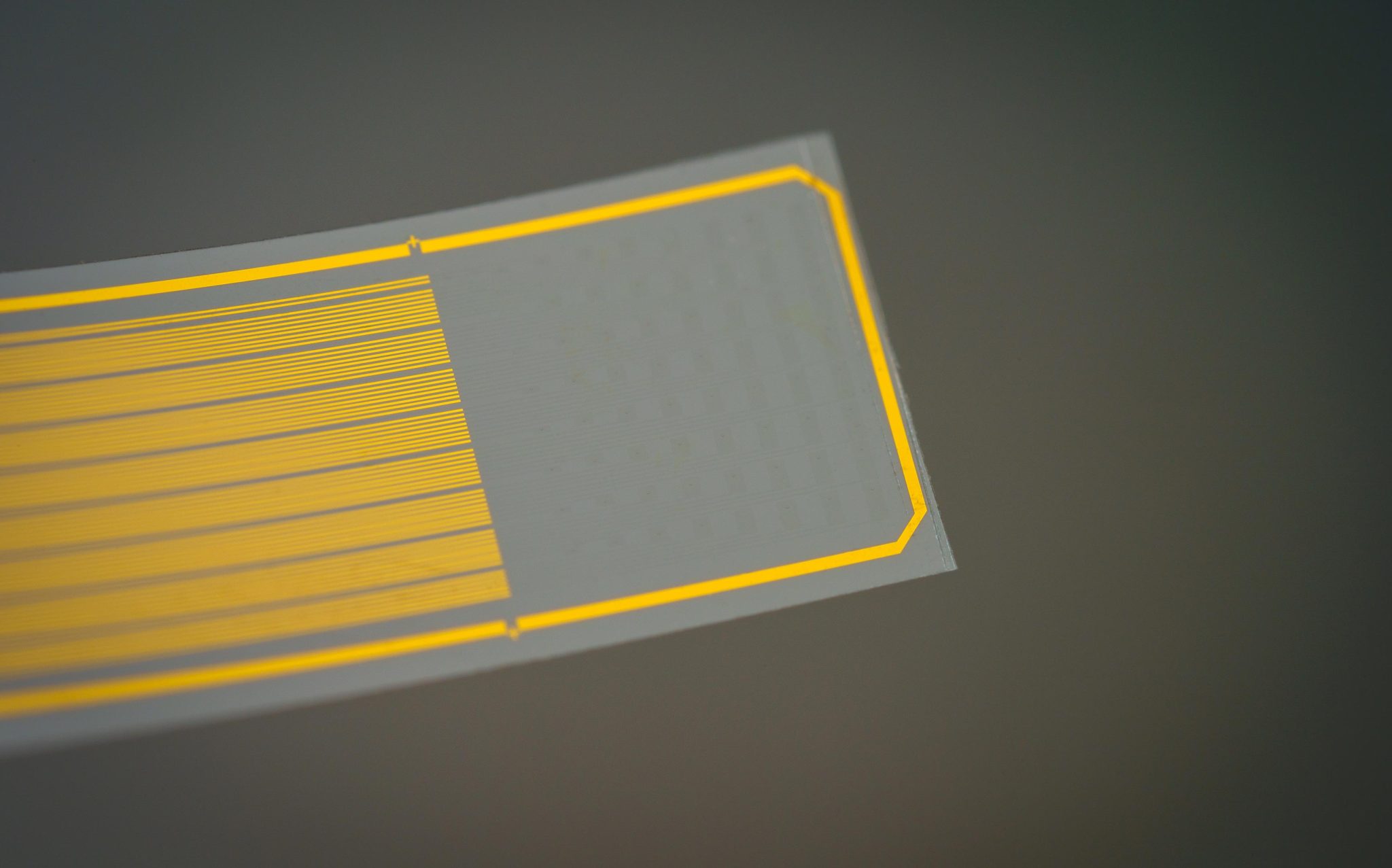 Revolutionary Transparent Implant Unveils Deep Brain Secrets From the Surface