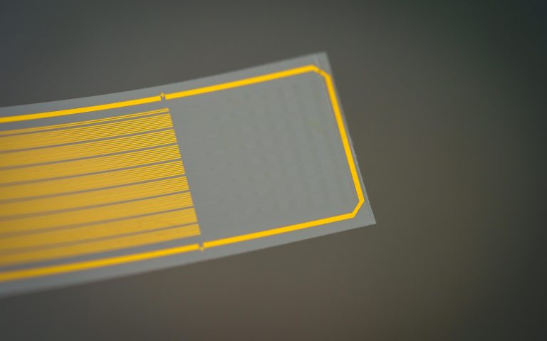 Revolutionary Transparent Implant Unveils Deep Brain Secrets From the ...