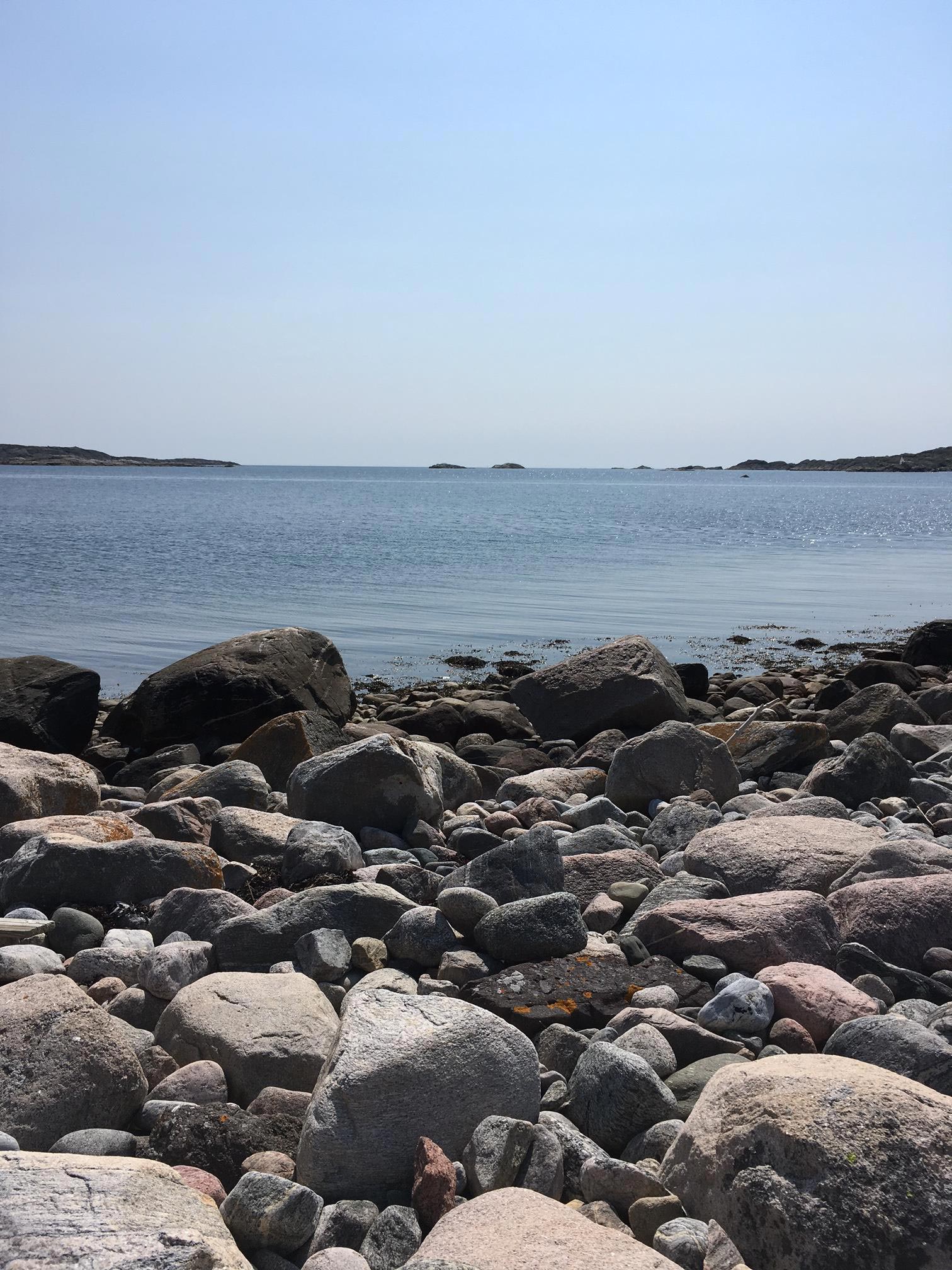 Evolution at Lightning Speed: Witnessing Astonishing Snail ...