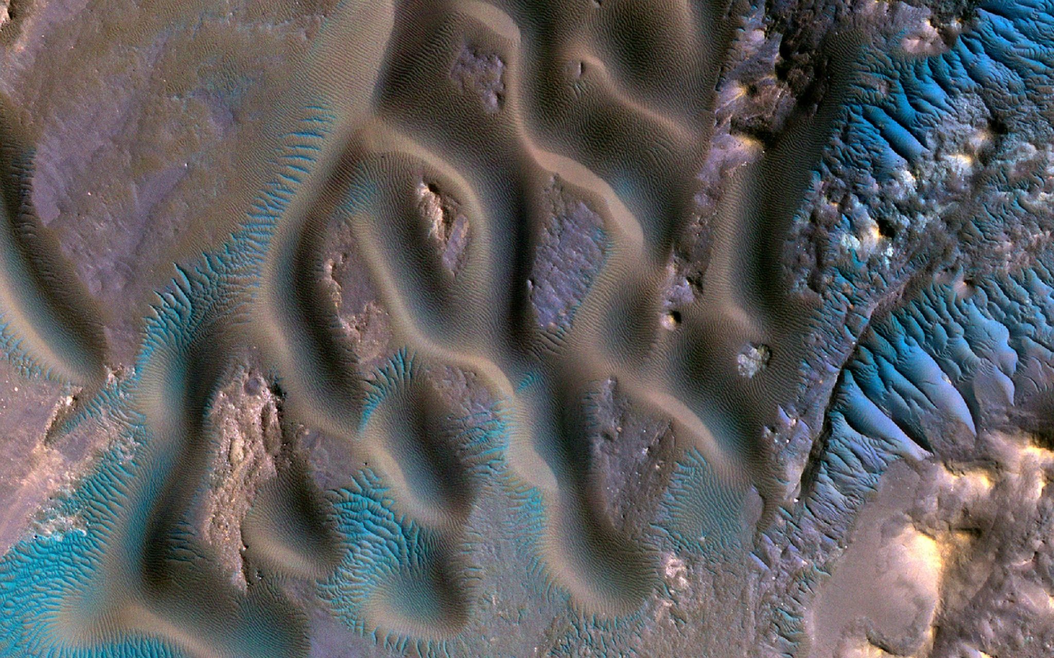 Transverse Aeolian Ridges: Blue Ripples on a Red Planet