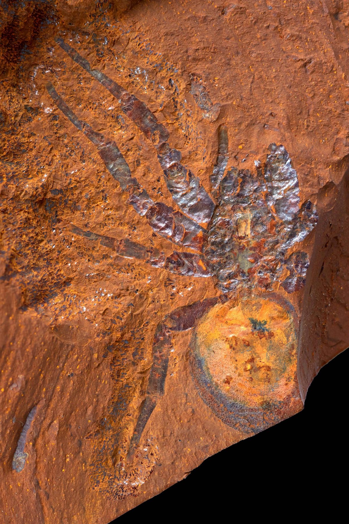 Strange Red Rocks in Australia Are Challenging Long-Held Ideas About ...