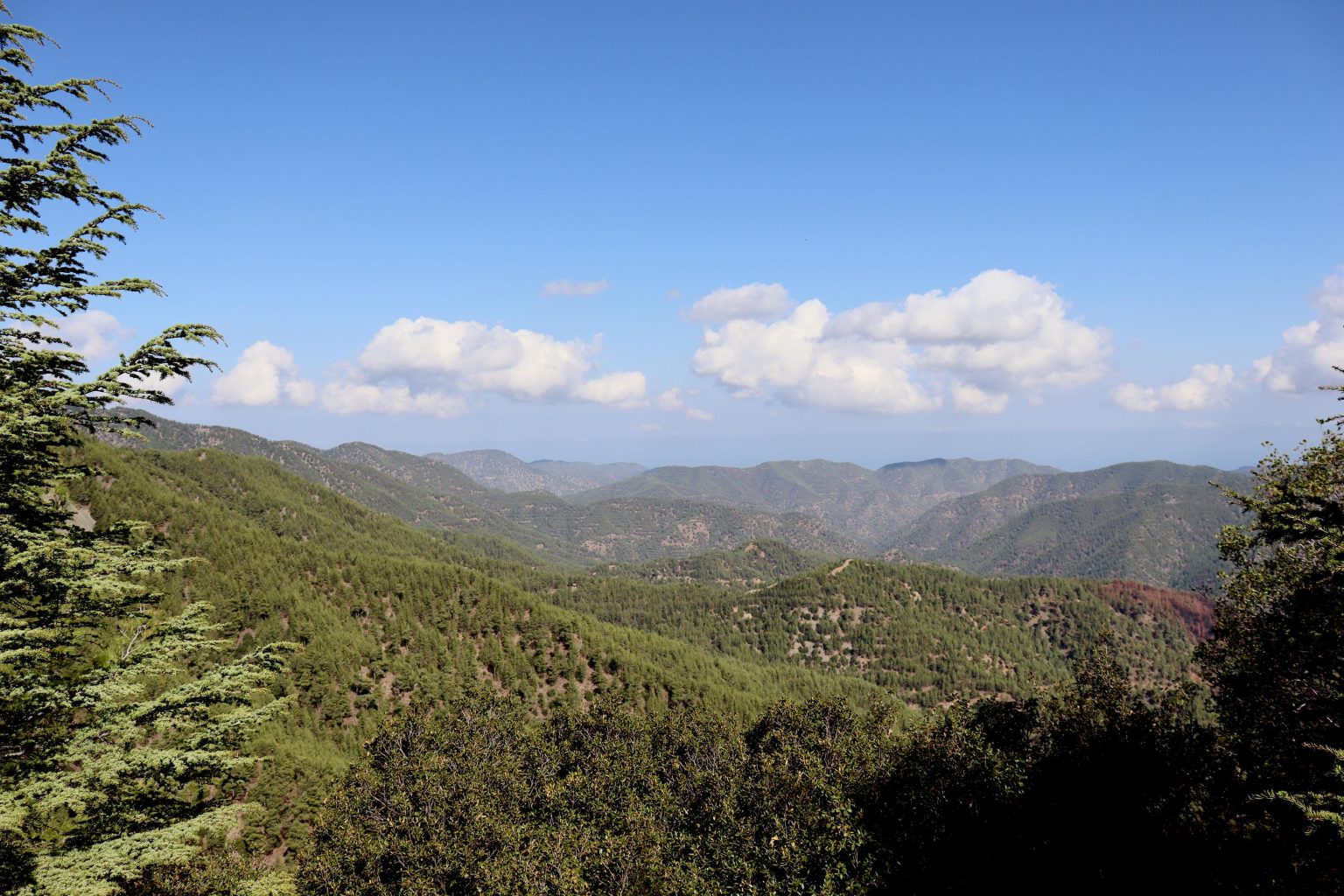 Mystery Solved: Why Did Cyprus’ Dwarf Elephants and Hippos Suddenly ...