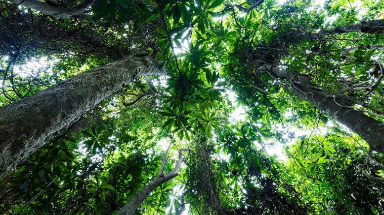 Biology News - Page 128 of 211 - SciTechDaily