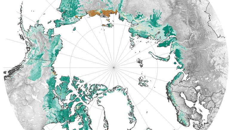 Rapid Greening Across Arctic Tundra Studied via NASA Satellites ...