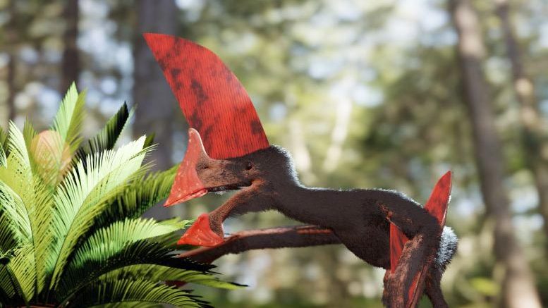 Flying Reptile News - SciTechDaily