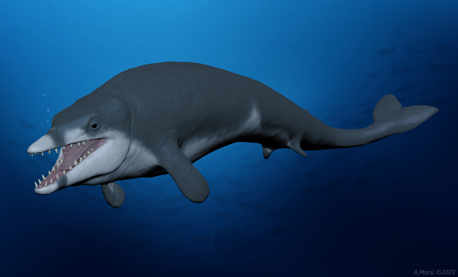 The Pharaoh of Whales: Remarkable New Species of Extinct Whale ...