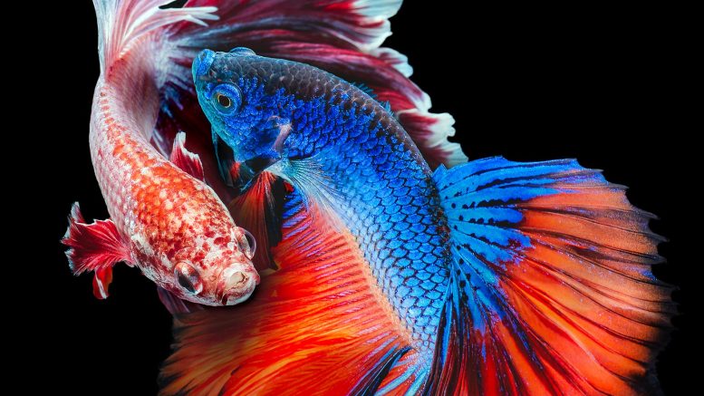 SciTechDaily - Page 991 of 1774 - Science, Space and Technology News 2023