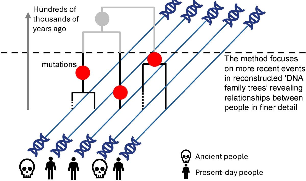 Revealing Europe’s First Millennium: Ancient DNA Uncovers Migration ...