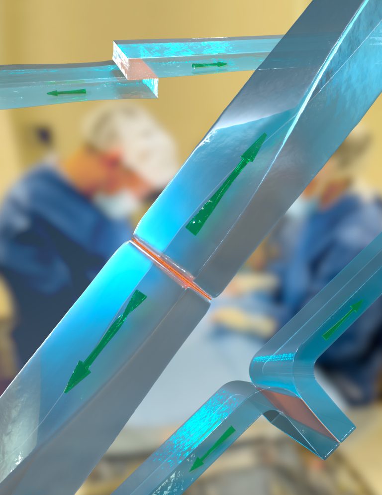 Harvard-Developed Hydrogel Bonding Method Paves the Way for New ...