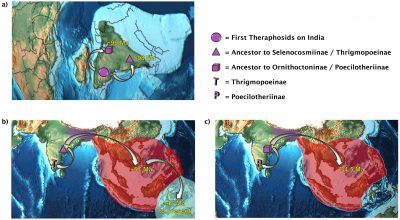 Tarantula’s Pervasiveness Traced Back to the Cretaceous Period