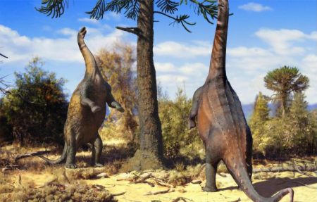 These Giant Long-Necked Dinosaurs Could Stand Upright – and Scientists ...