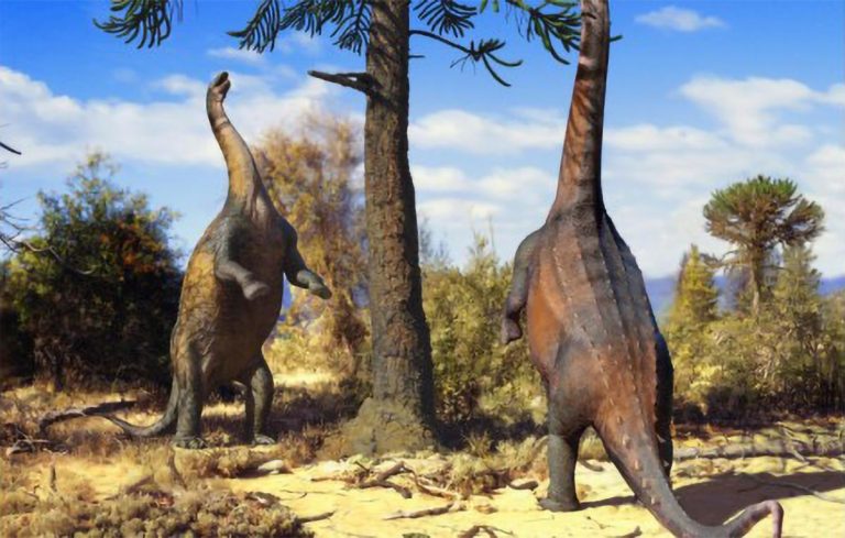 These Giant Long-Necked Dinosaurs Could Stand Upright – and Scientists ...
