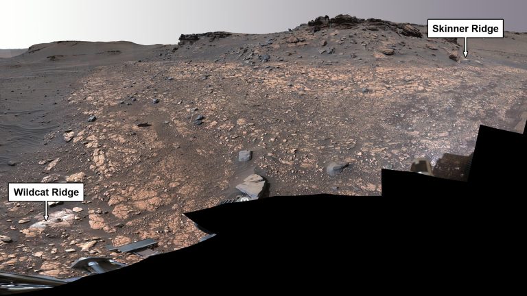 Life on Mars? Latest Intriguing Organic Findings by NASA’s Perseverance ...