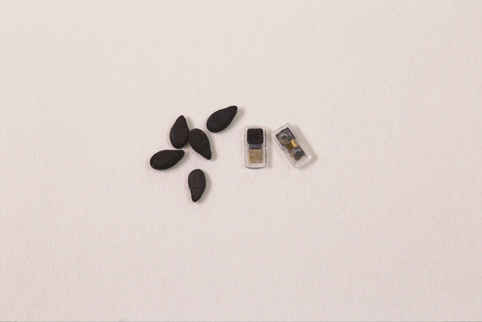 Smaller Than a Grain of Rice: Engineers Develop World’s Smallest Pacemaker