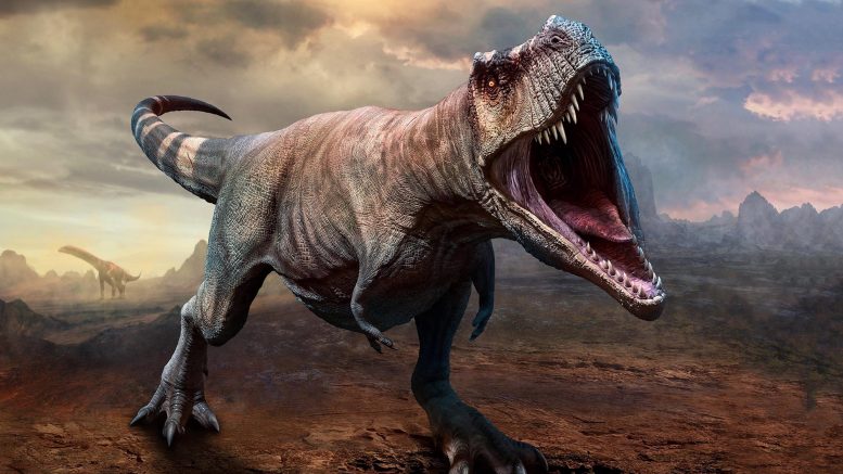 Growing Up Tyrannosaurus Rex: Researchers Learn More About Teen-Age T.Rex