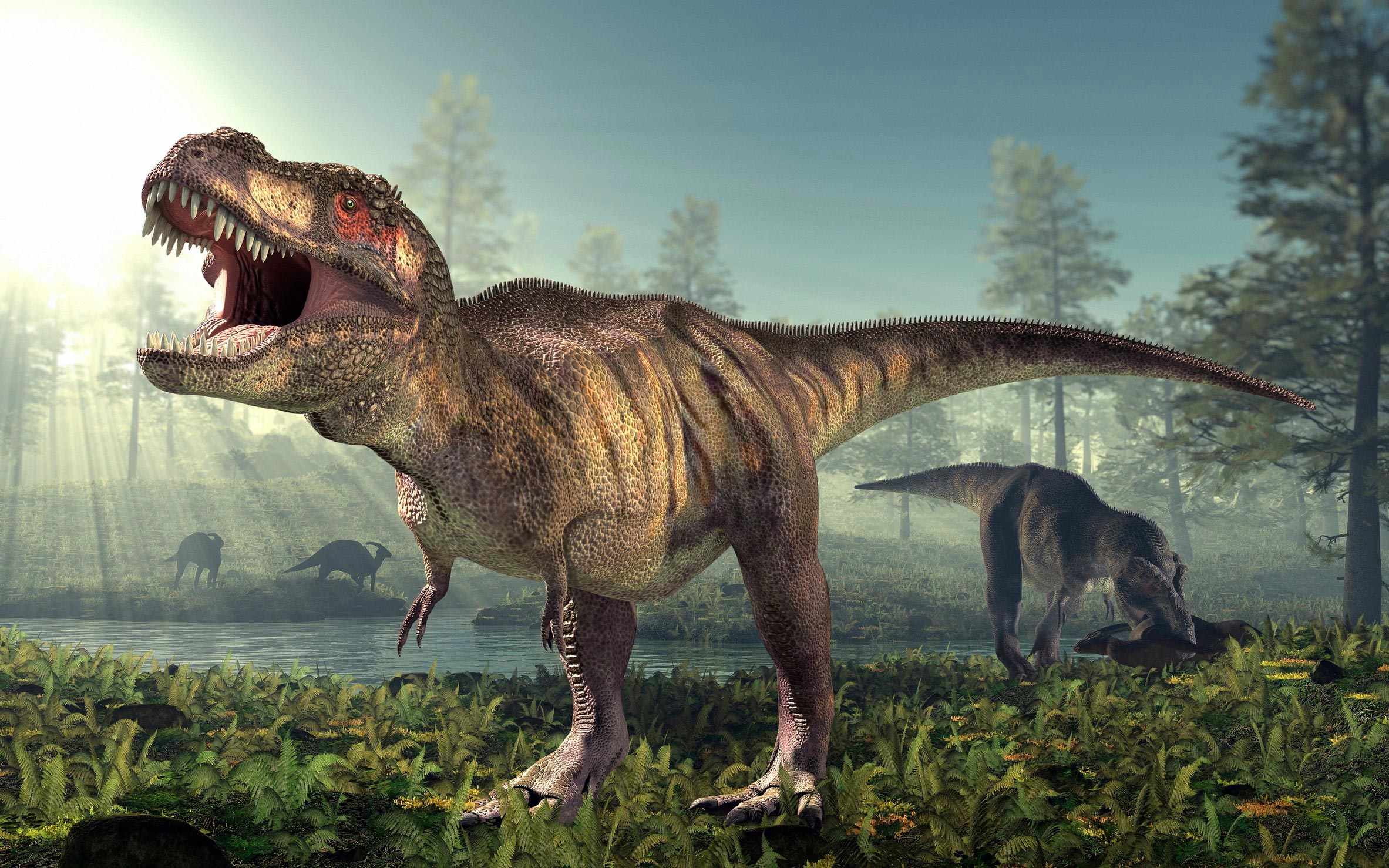 Dinosaurs T Rex Dinosaurs T Rex