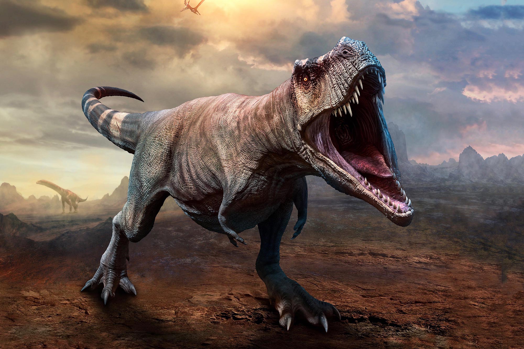 Tyrannosaurus Rex Mystery Solved How Dinosaurs Delivered Bone Crushing Tyrannosaurus Rex Mystery Solved How Dinosaurs Delivered Bone Crushing