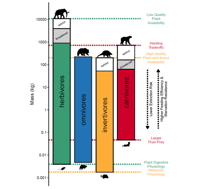 Humans Disrupting 66 Million-Year-Old Fundamental Feature of Ecosystems ...