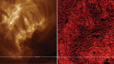 Image of Magnetic Loops on the Sun