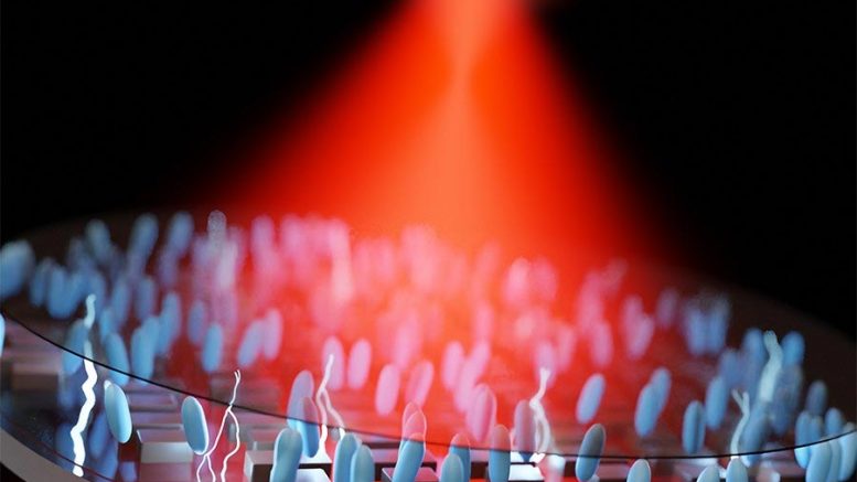 A Quantum Breakthrough: How a Multifunctional Metalens is Transforming ...