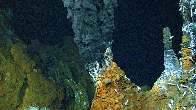 Hydrothermal Fluid From Piccard Vents Leads to Discovery That ...