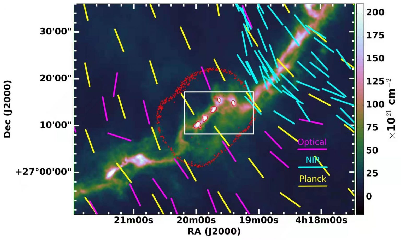 Diverse Magnetic Fields Revealed in Solar-Type Star-Forming Cores
