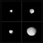 SPHERE Instrument Views Asteroids 29 Amphitrite, 324 Bamberga, 2 Pallas ...
