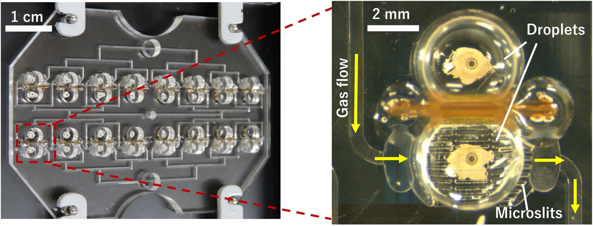 Giving Computers a Keen Sense of Smell – Researchers Create a Biohybrid ...