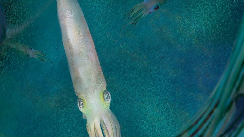 American Museum of Natural History News - SciTechDaily