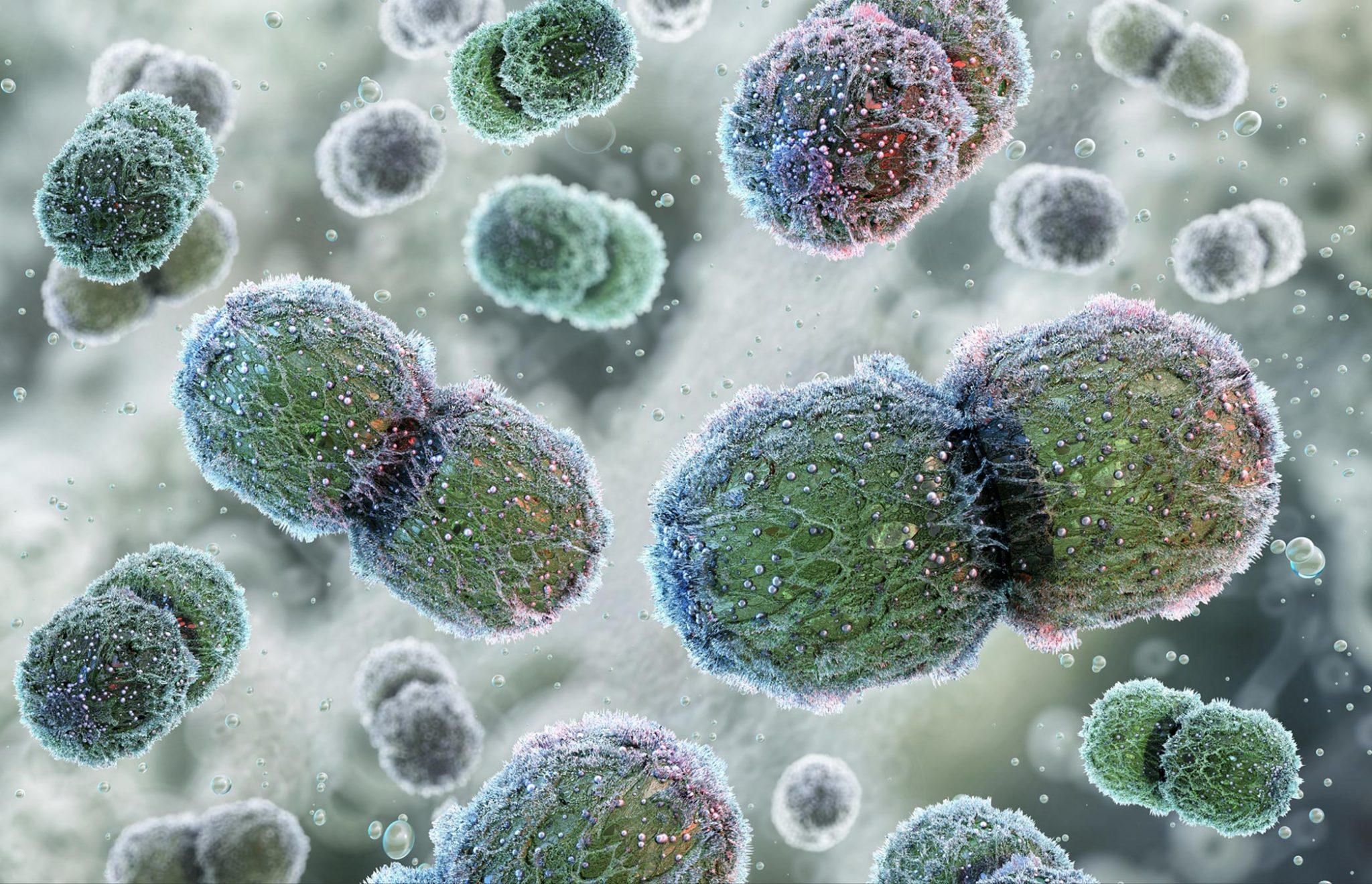 Why Antibiotics Aren’t Enough for Some Chronic Wounds