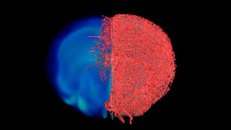 SciTechDaily - Page 4 of 1425 - Science, Space and Technology News 2022