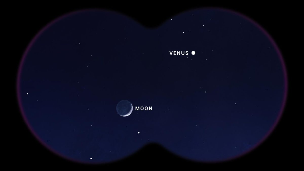 Don’t Miss December’s Night Sky Spectacle: Venus Shines, Jupiter Glows ...
