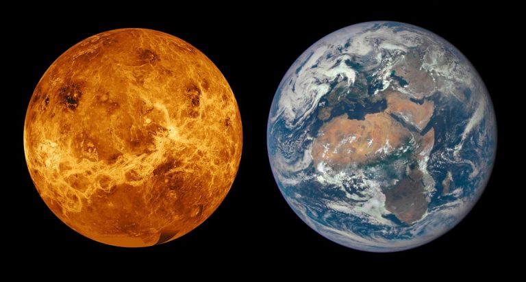 Life on Venus? Tectonic Clues Point to a Habitable Past