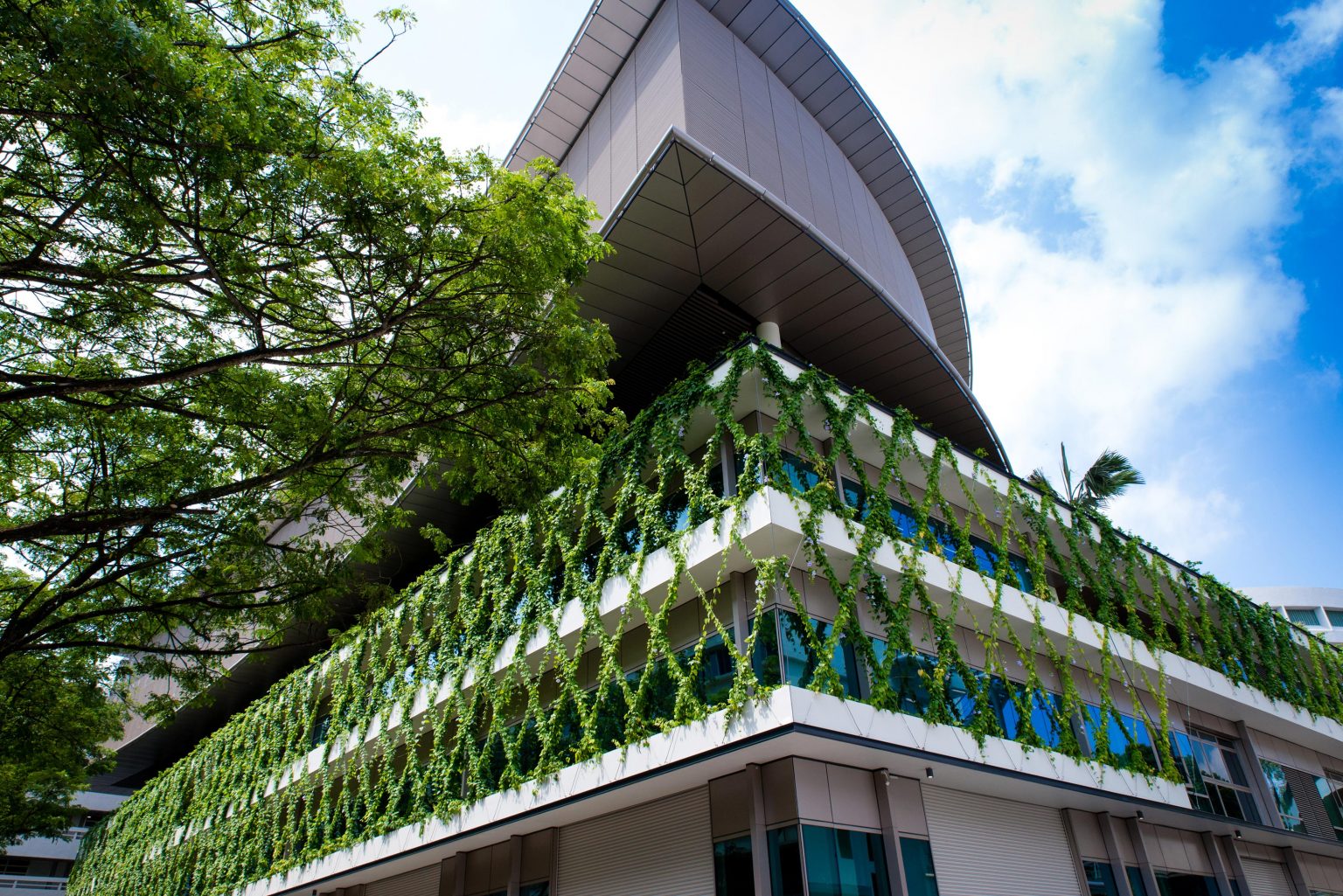 Experiment Shows Vertical Greenery Can Act as a Stress Buffer
