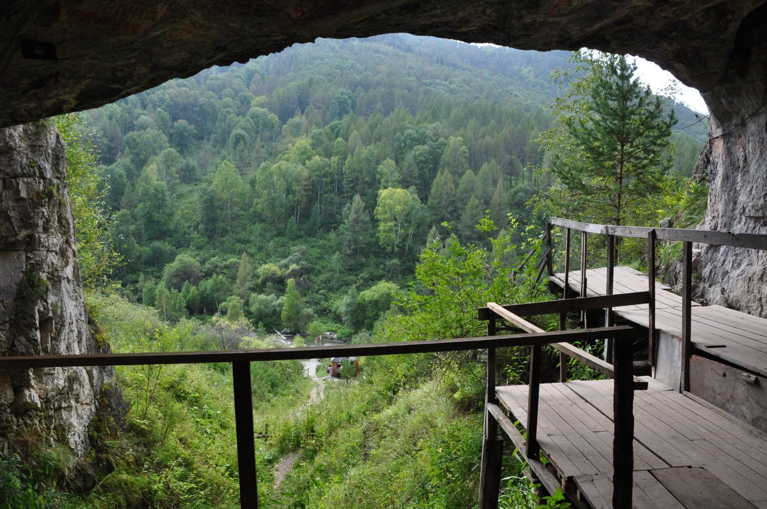 Ancient Tooth From Young Girl Discovered in Cave Unlocks Mystery of ...
