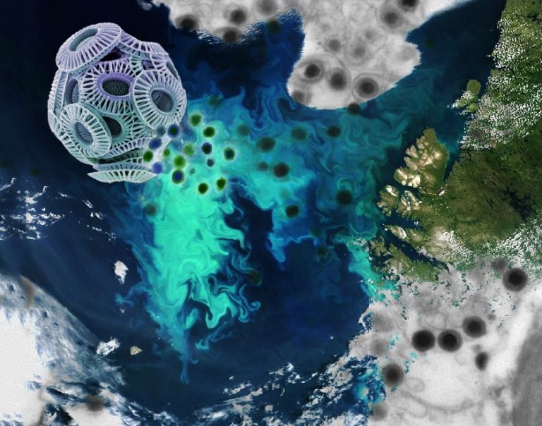 Scientists Have Long Believed That Ocean Viruses Always Quickly Kill ...