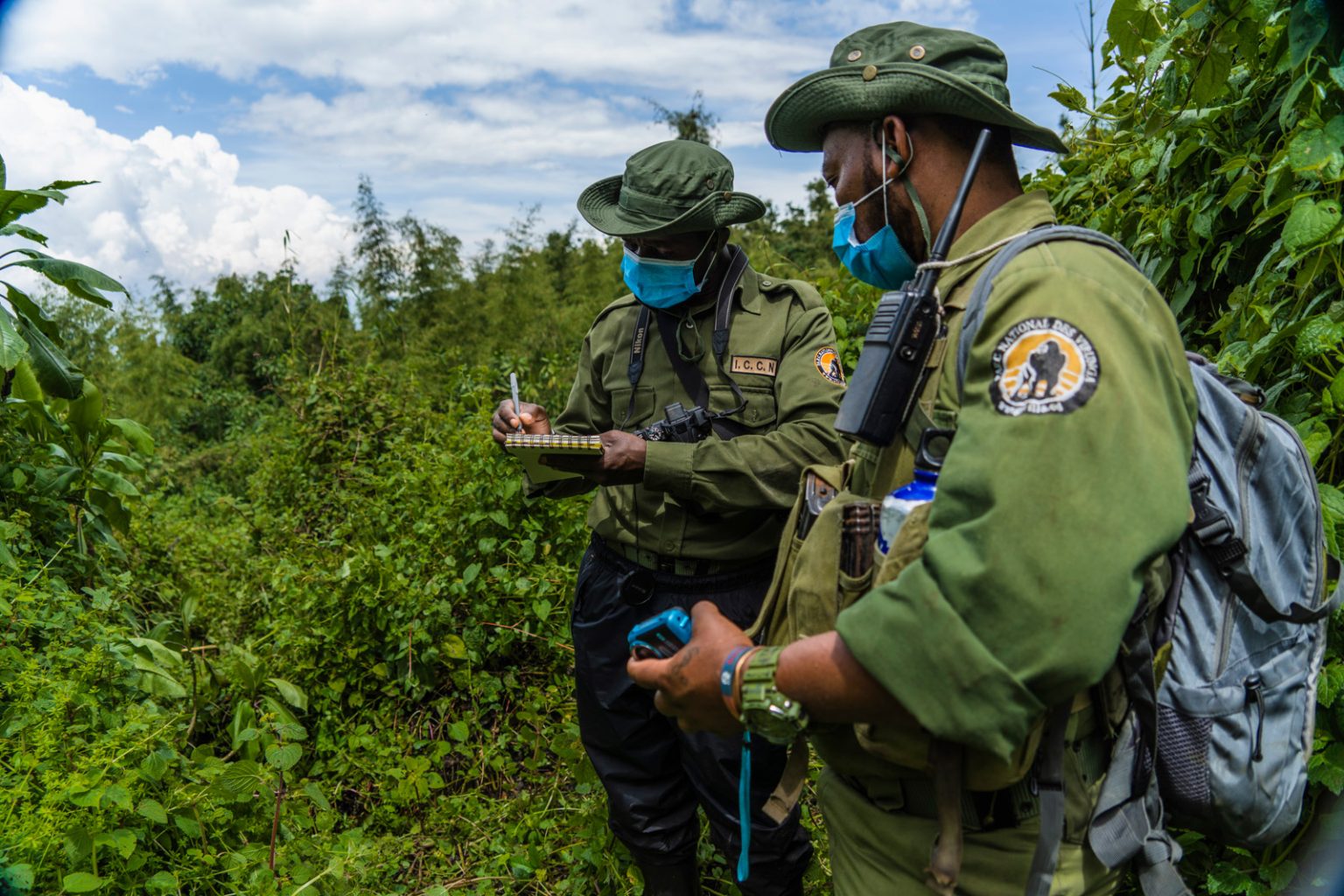 New Global Study Confirms: Conservation Actually Works