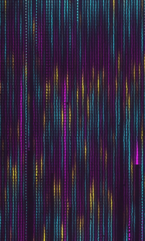 Oscillating Genetic Circuit: A Reliable Clock for Your Microbiome
