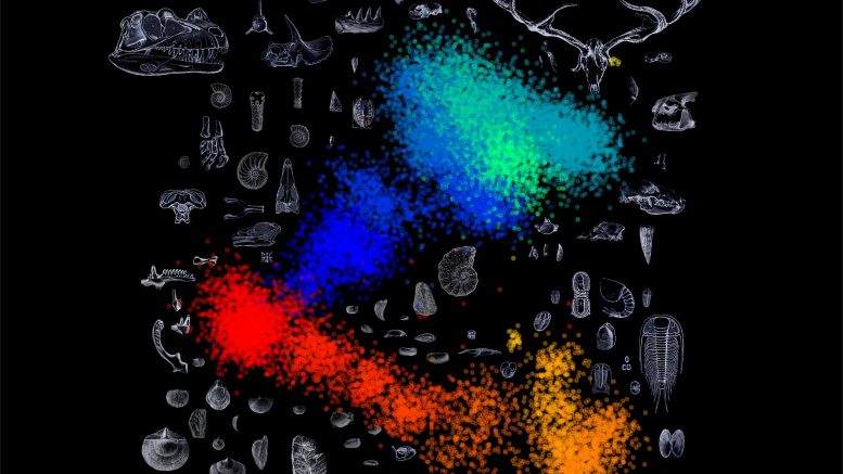 It's Official: Scientists See a 'New' Mass Extinction