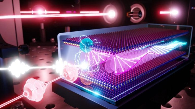 Scientists “See” Spinning Quasiparticles in a 2D Magnet