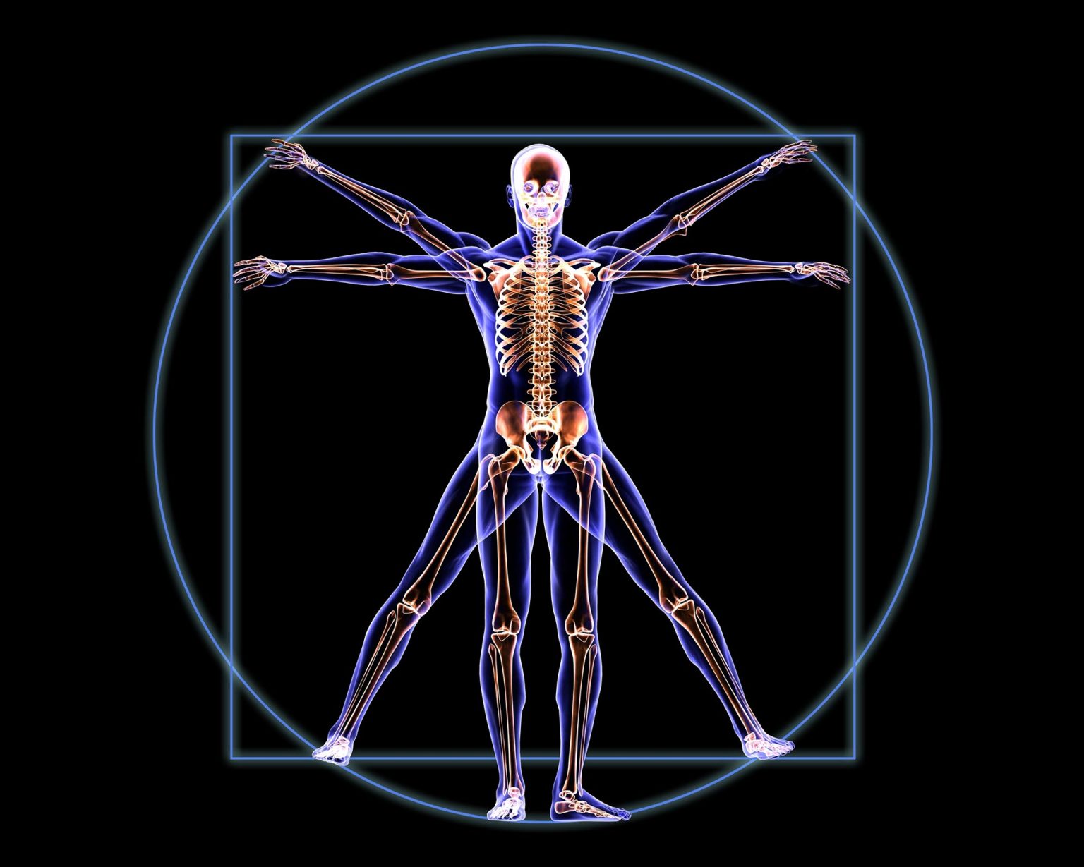 Limb Regeneration in Humans: New Research Challenges Long-Held Beliefs