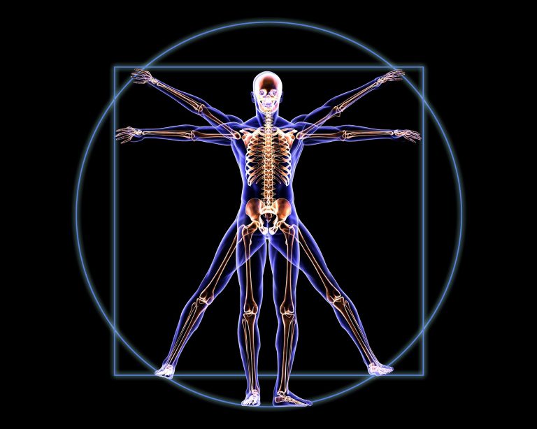 Limb Regeneration in Humans: New Research Challenges Long-Held Beliefs