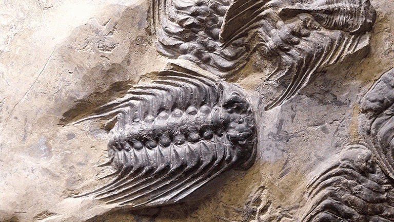 Geoscience News - SciTechDaily