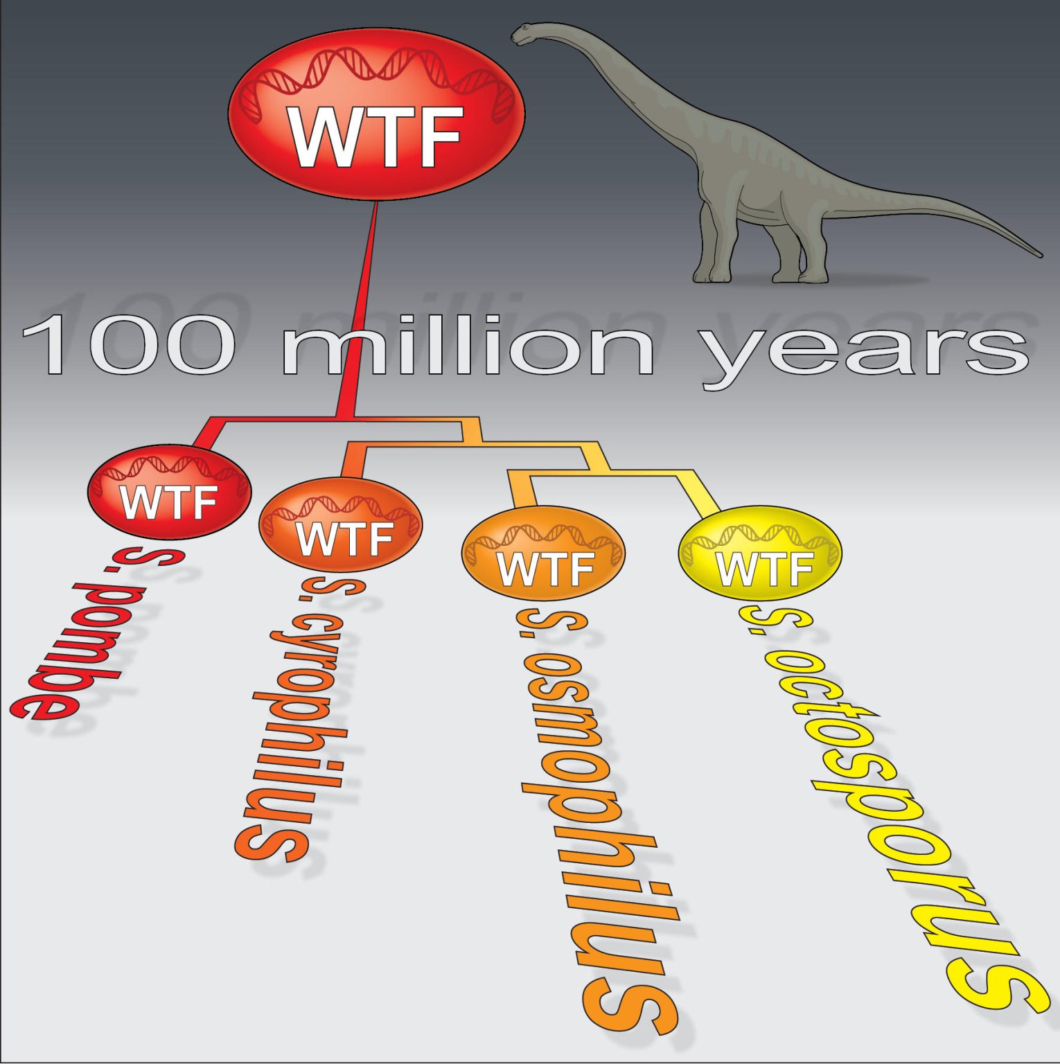 Discovery of 119-Million-Year-Old “Selfish” Genes Casts Doubt on ...