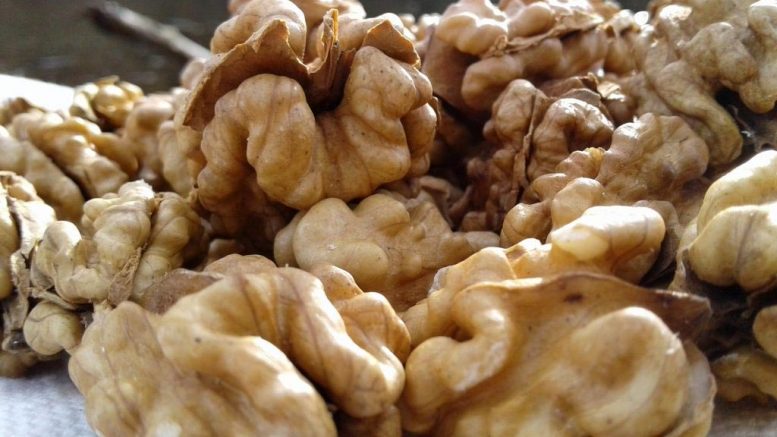 Scientists Crack “The Brazil-Nut” Puzzle – How the Largest Nuts Rise to ...