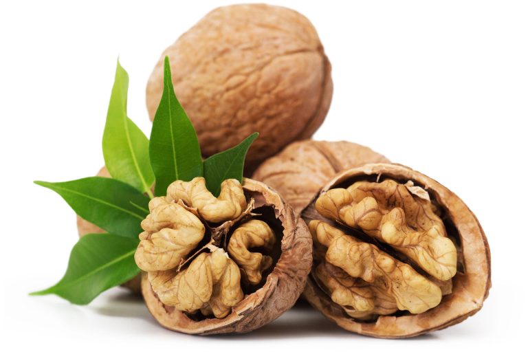 Healthy New Brain Food for Stressed University Students