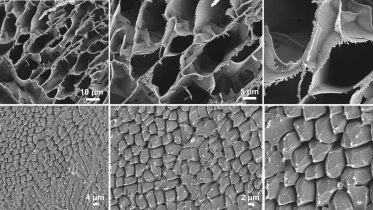 Chemistry News, Research Breakthroughs & Discoveries - SciTechDaily